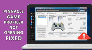 Fix Pinnacle Game Profiler Not Opening in Windows 10 [5 Quick Tricks]