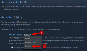 [Ultimate Guide] How To Hide Game Activity On Steam From Friends?