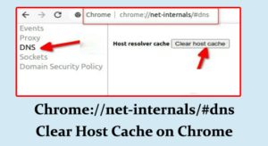 Chrome://net-internals/#dns Clear Host Cache on Chrome
